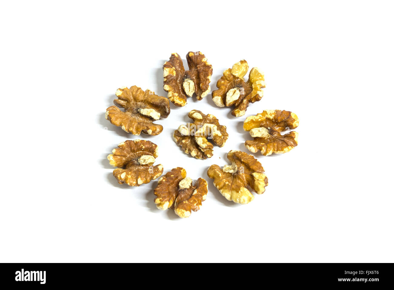 walnut seed, nut cracked in half shape, round group Stock Photo - Alamy