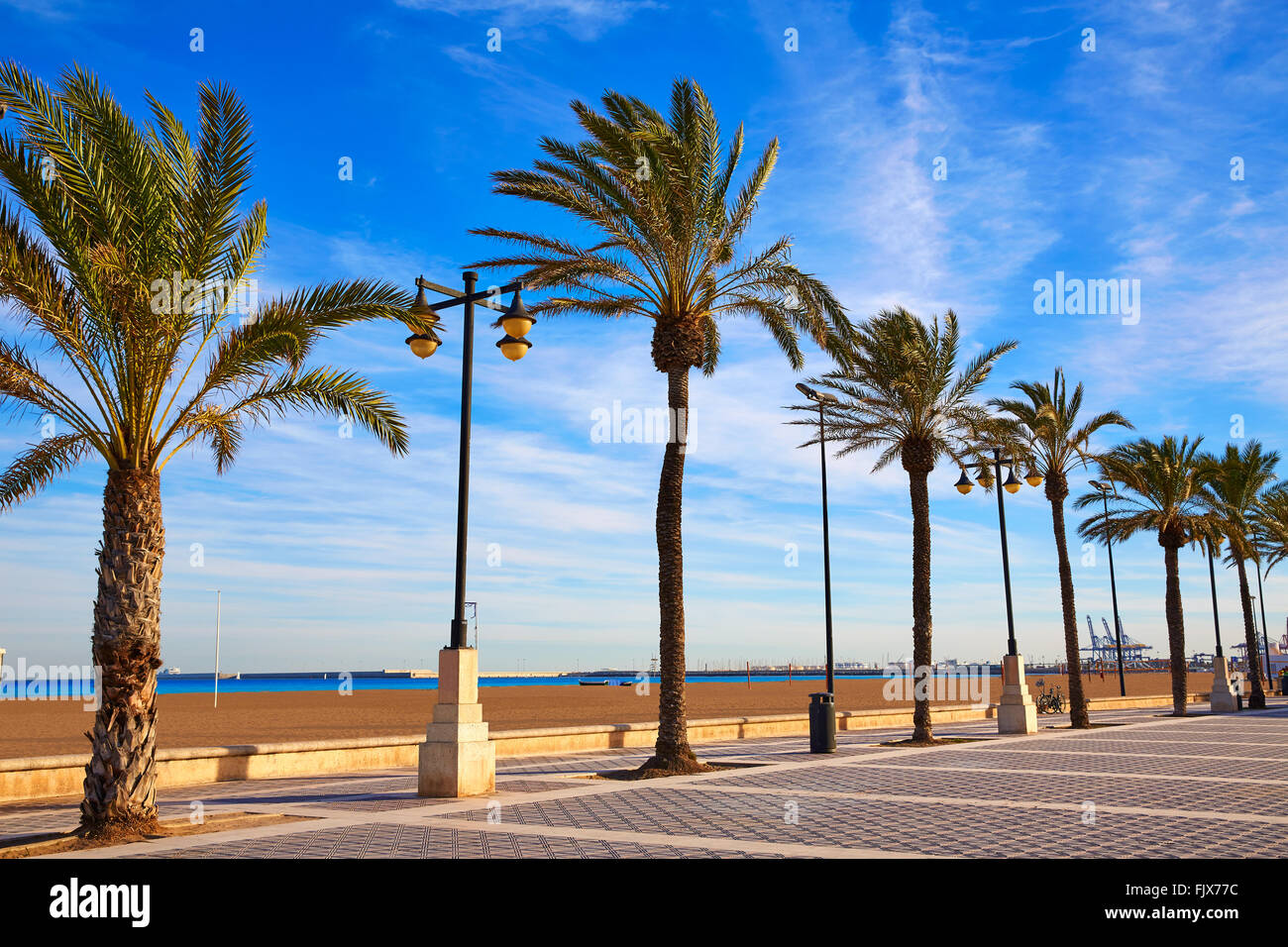 Valencia La Malvarrosa beach palm trees promenade in Spain Stock Photo ...