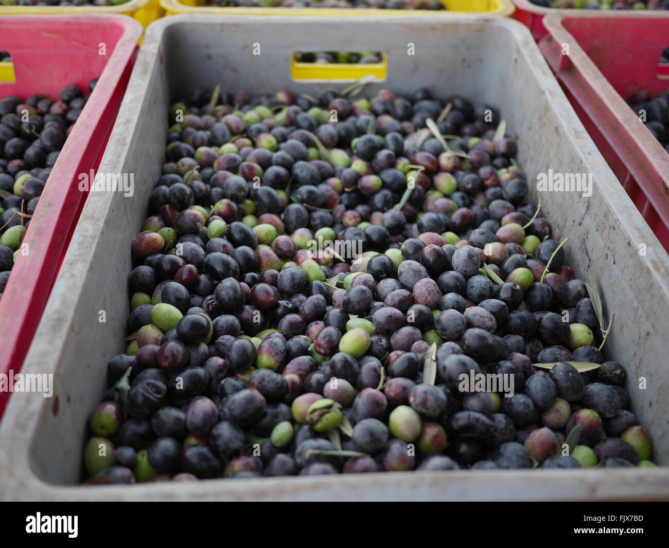 Black crates hi-res stock photography and images - Alamy