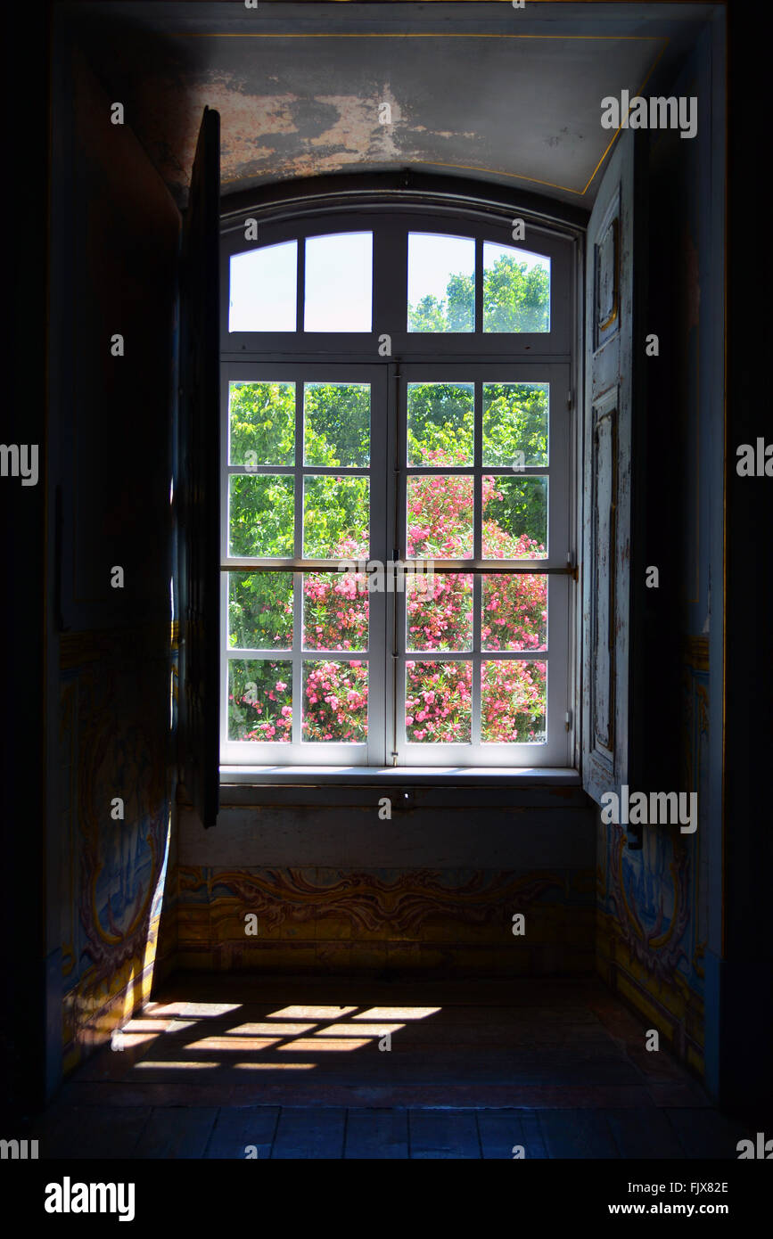 Trees Seen From Window At Home Stock Photo - Alamy