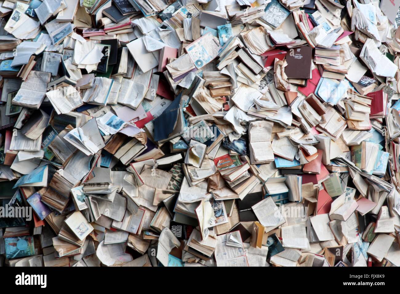 Abandoned Books Abandoned High Resolution Stock Photography and Images ...