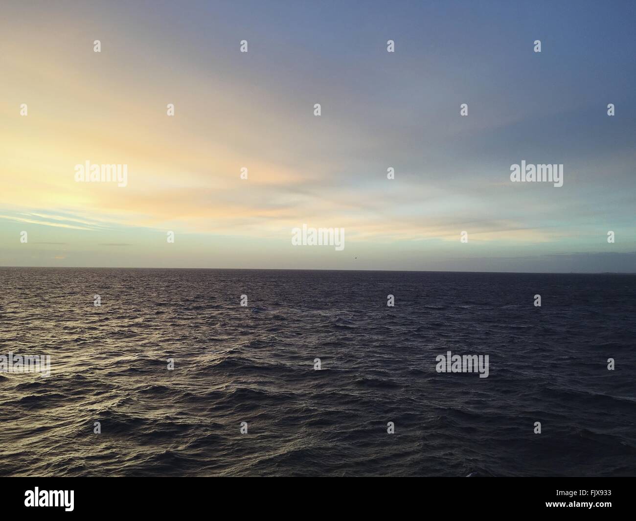 Sea whitehead hi-res stock photography and images - Alamy