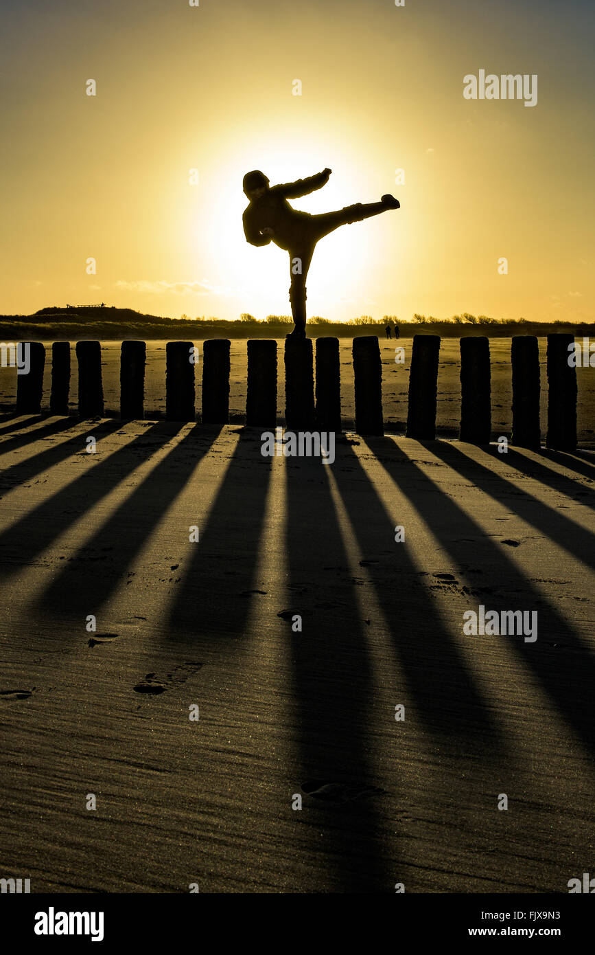 Karate Shadow High Resolution Stock Photography and Images - Alamy