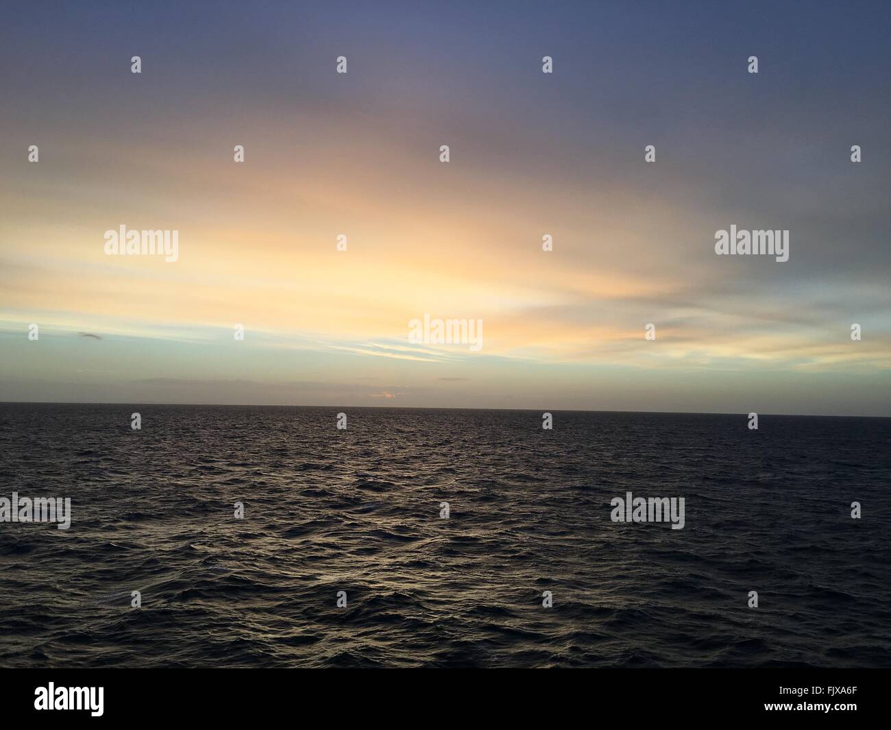 Sea Whitehead High Resolution Stock Photography and Images - Alamy