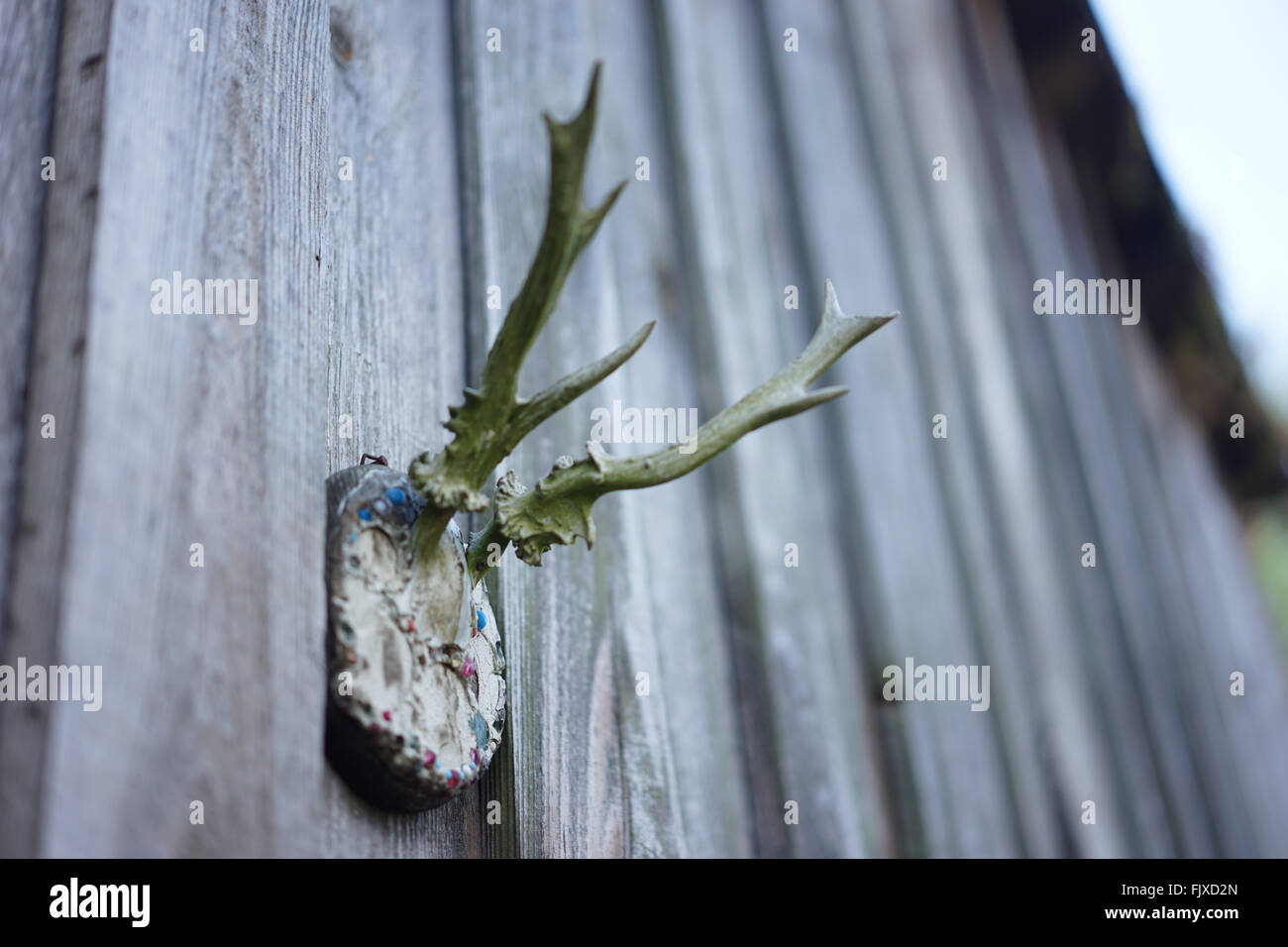 Horns wooden wall architecture hi-res stock photography and images - Alamy