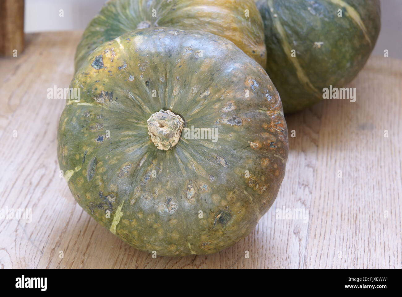 Asian Squash High Resolution Stock Photography and Images - Alamy