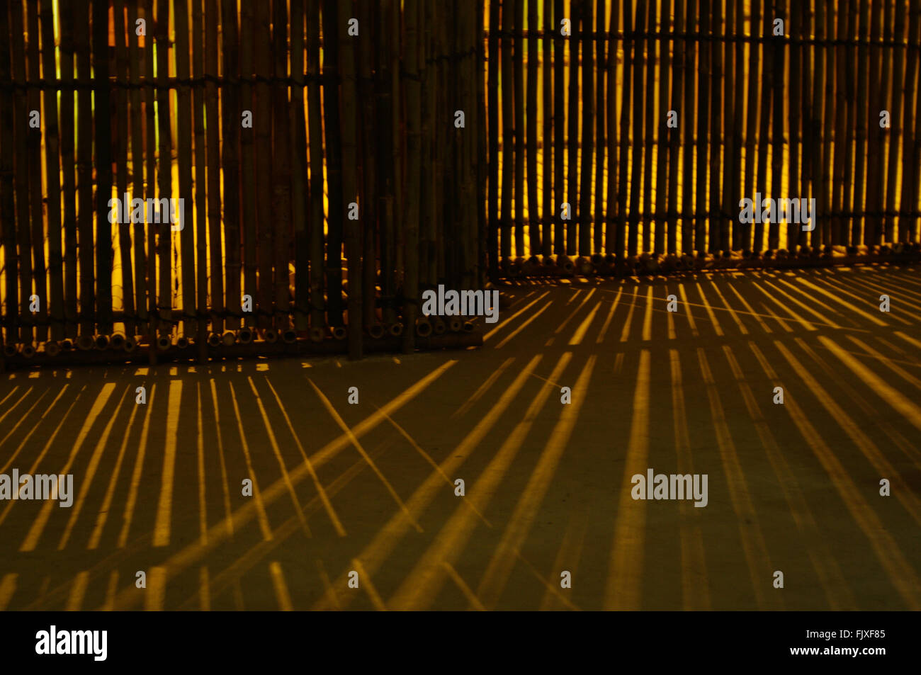 Shadow Of Bamboo On Floor Stock Photo - Alamy