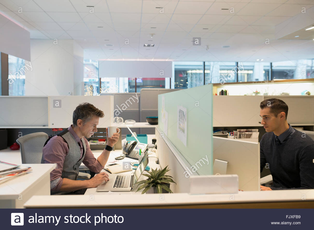 People working cubicles hi-res stock photography and images - Alamy