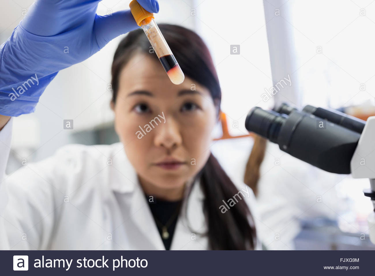 Medical scientist examining liquid vial at microscope laboratory Stock ...