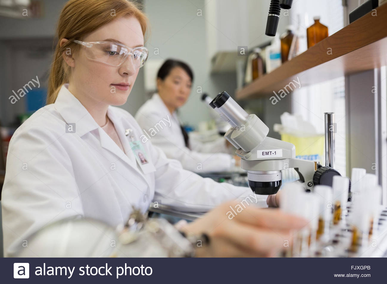Asian scientist laboratory testing hi-res stock photography and images ...