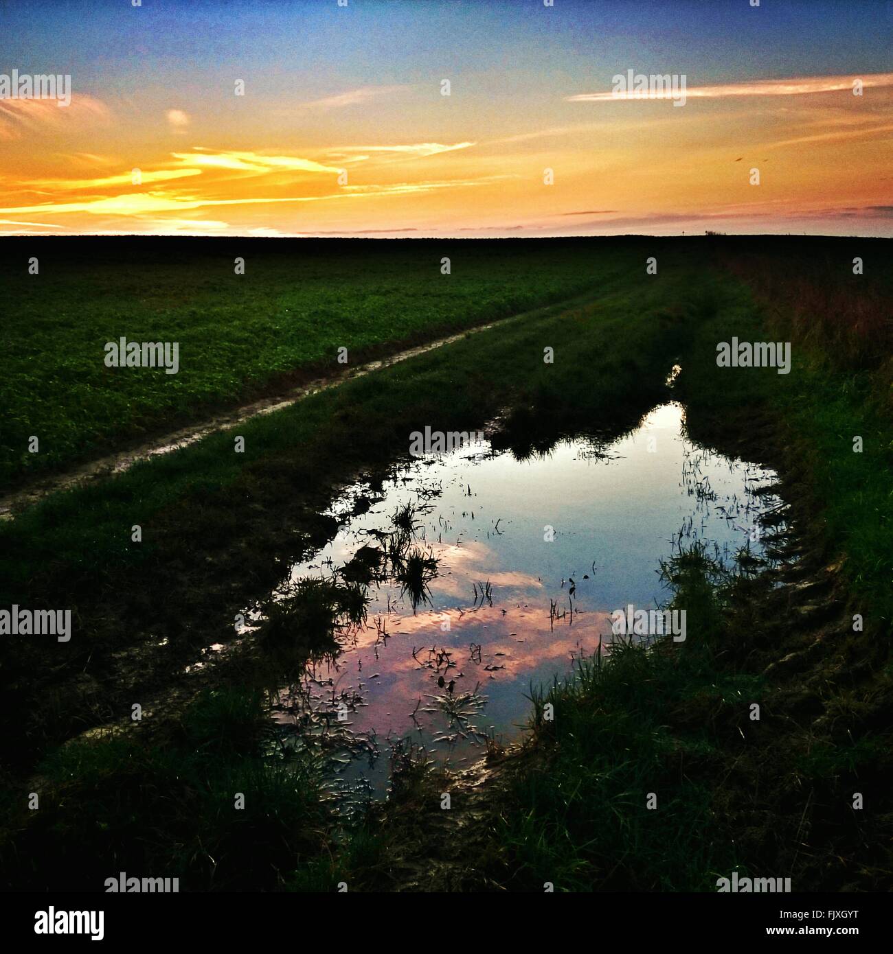 Puddle Field High Resolution Stock Photography and Images - Alamy