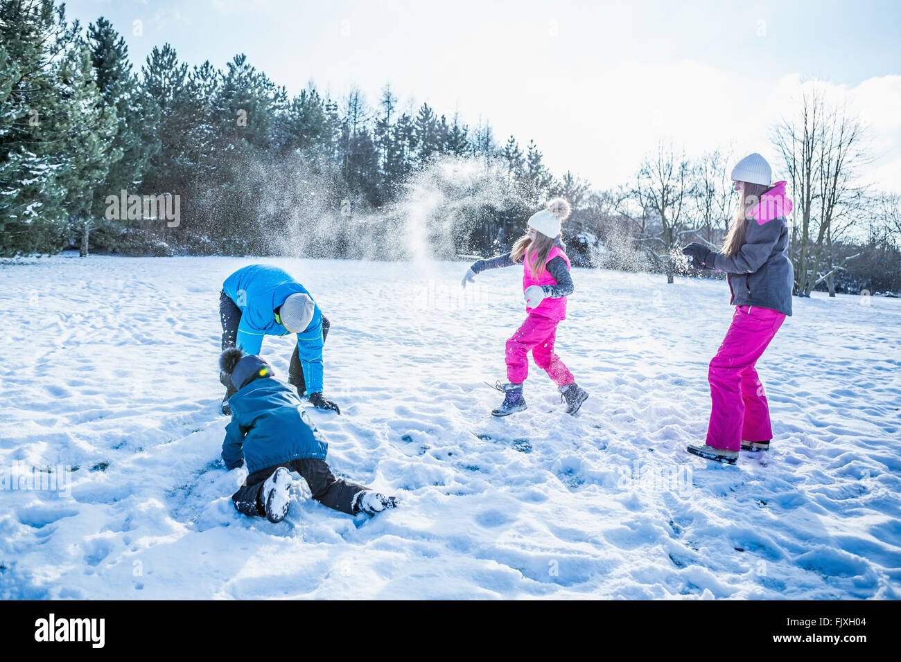 Family playing snowball fight Stock Photo - Alamy