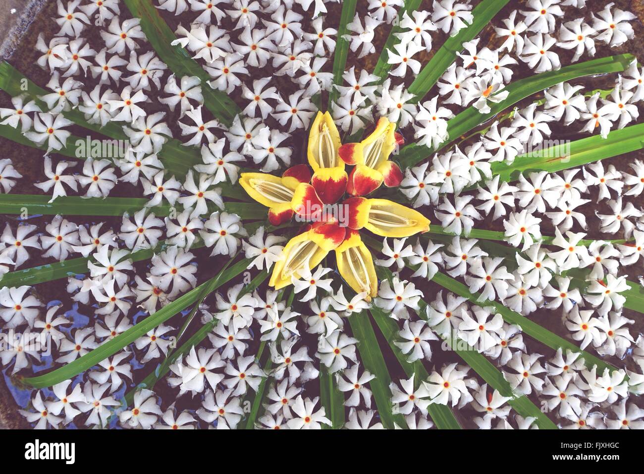 Floating flower decoration hi-res stock photography and images - Alamy