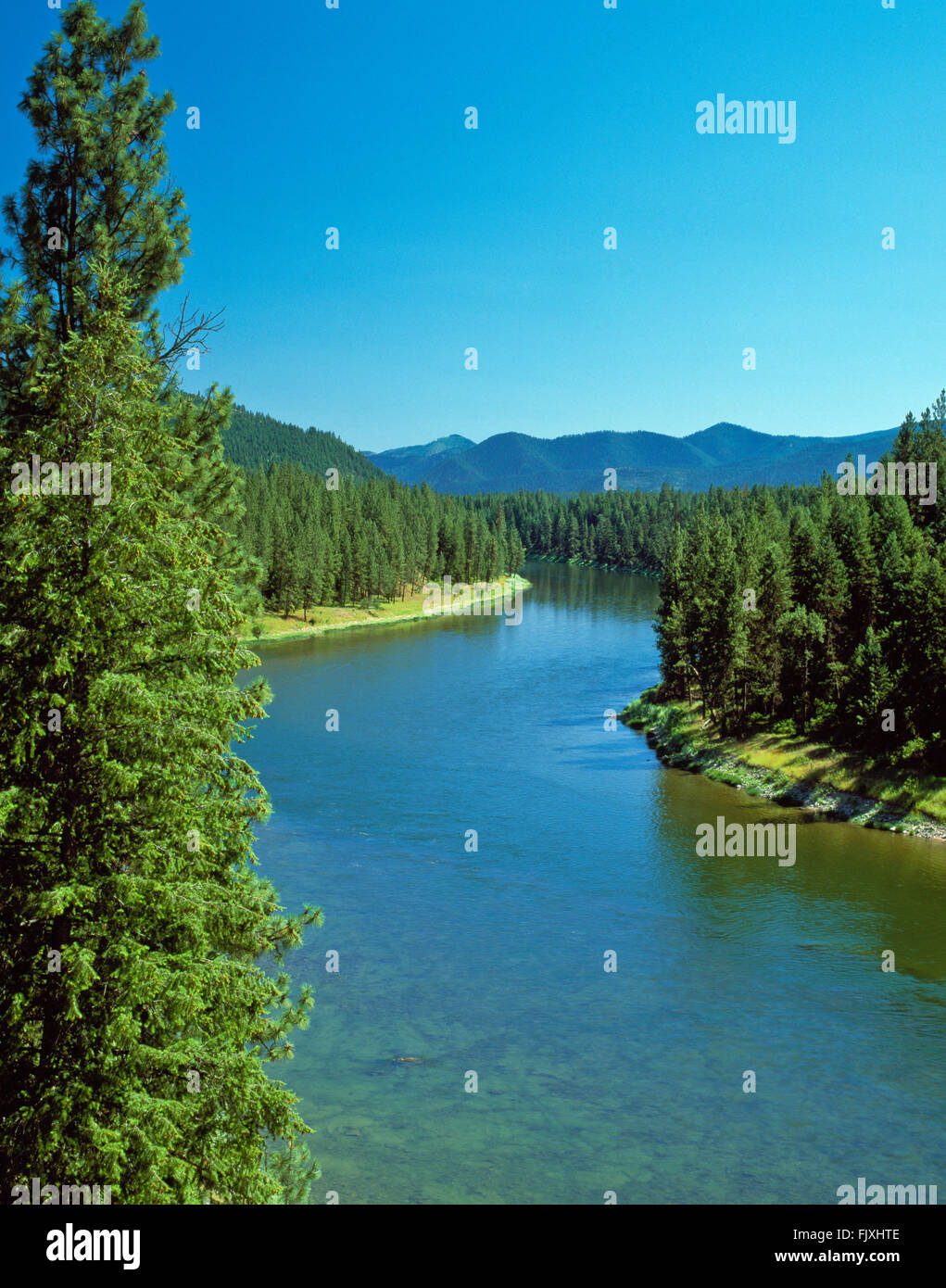 Forested watershed hi-res stock photography and images - Alamy