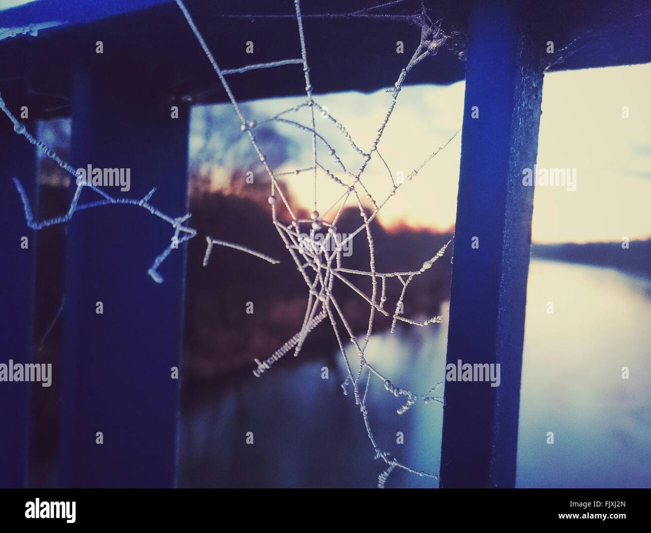 Spider On Railing High Resolution Stock Photography and Images - Alamy