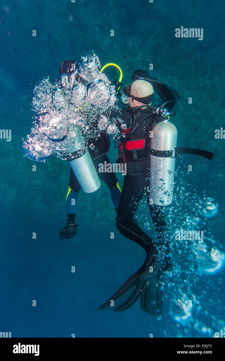Two Divers Swimming Together with One Tank Stock Photo - Alamy