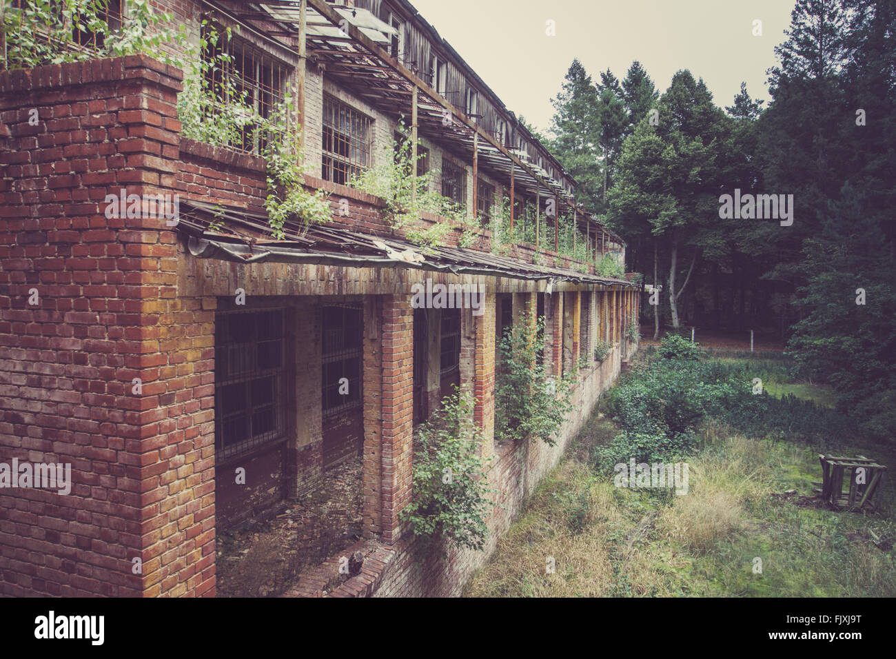 Abandoned Buildings High Resolution Stock Photography and Images - Alamy
