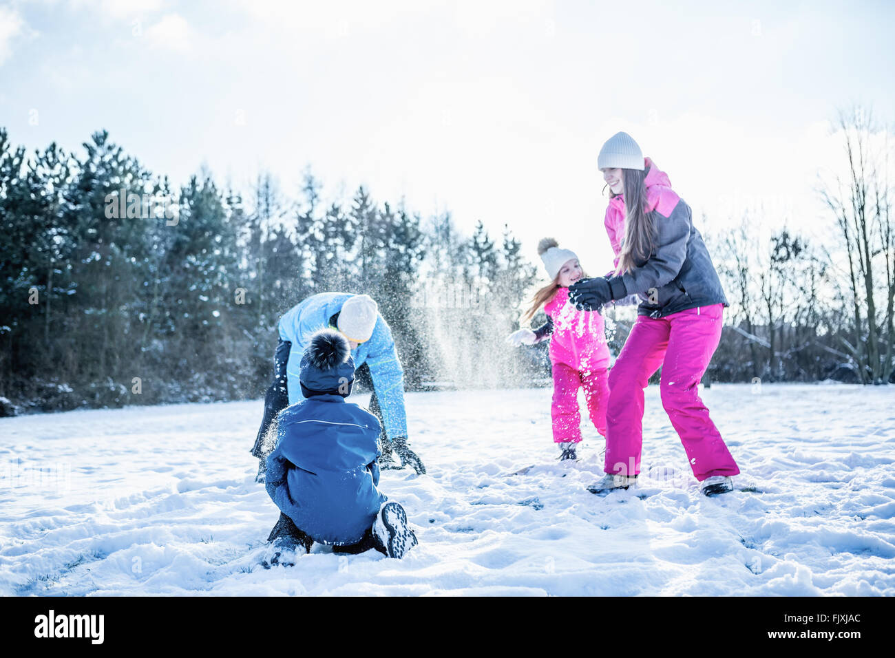 Family playing snowball fight Stock Photo - Alamy
