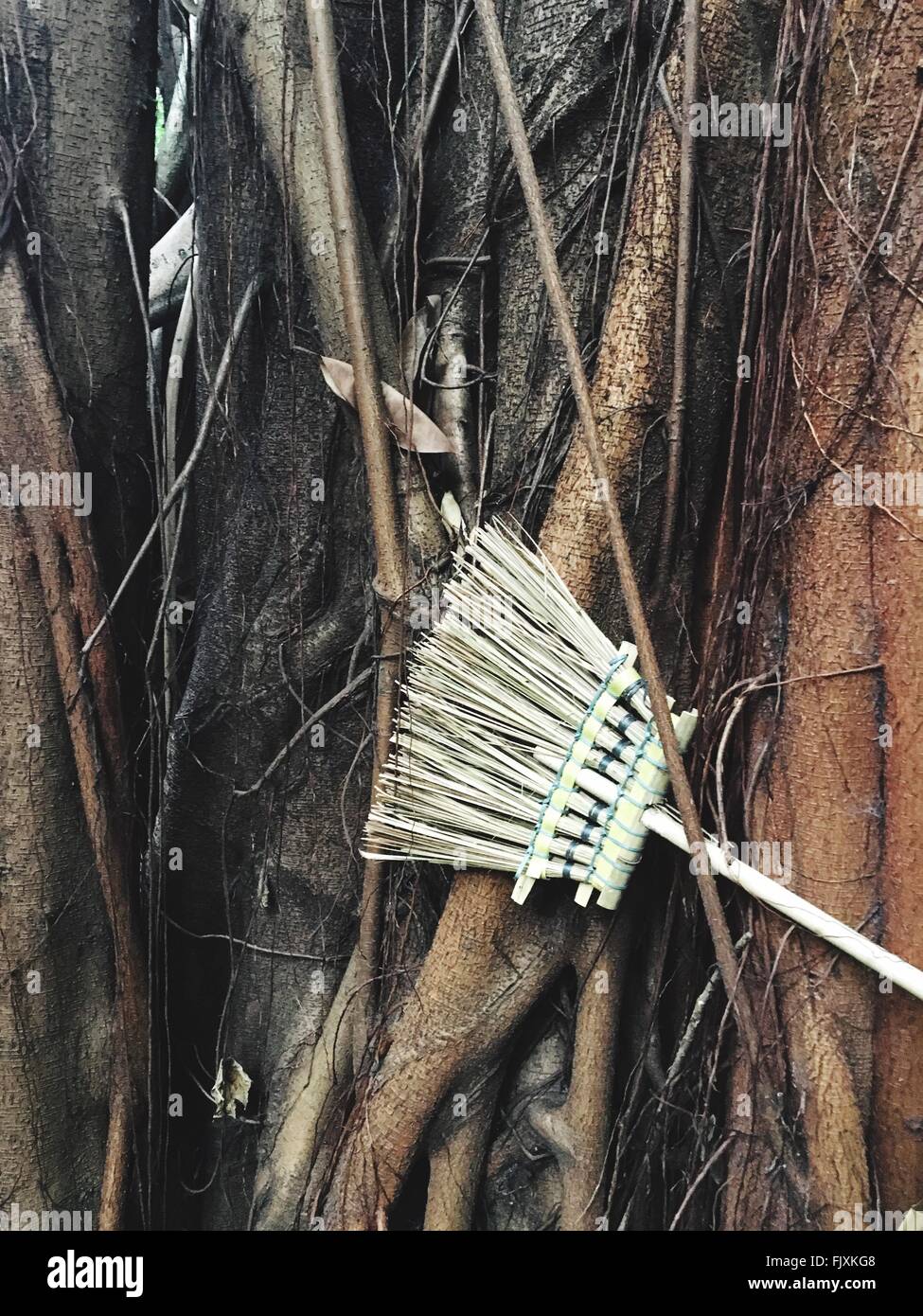 Broom twigs broom hi-res stock photography and images - Alamy