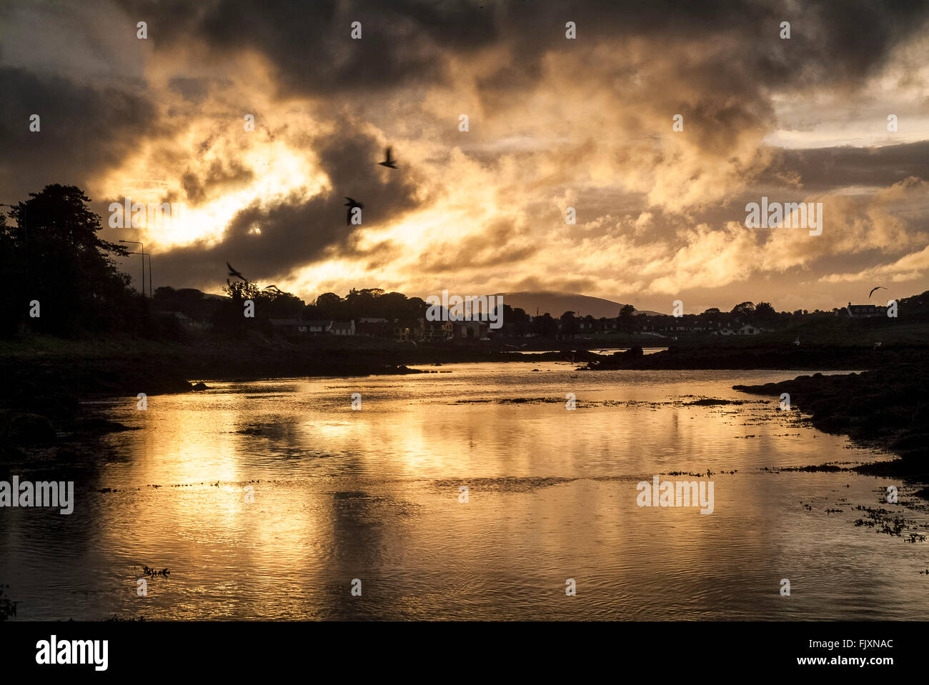 Sunset at Kinvara Bay , County Galway, Ireland Stock Photo - Alamy