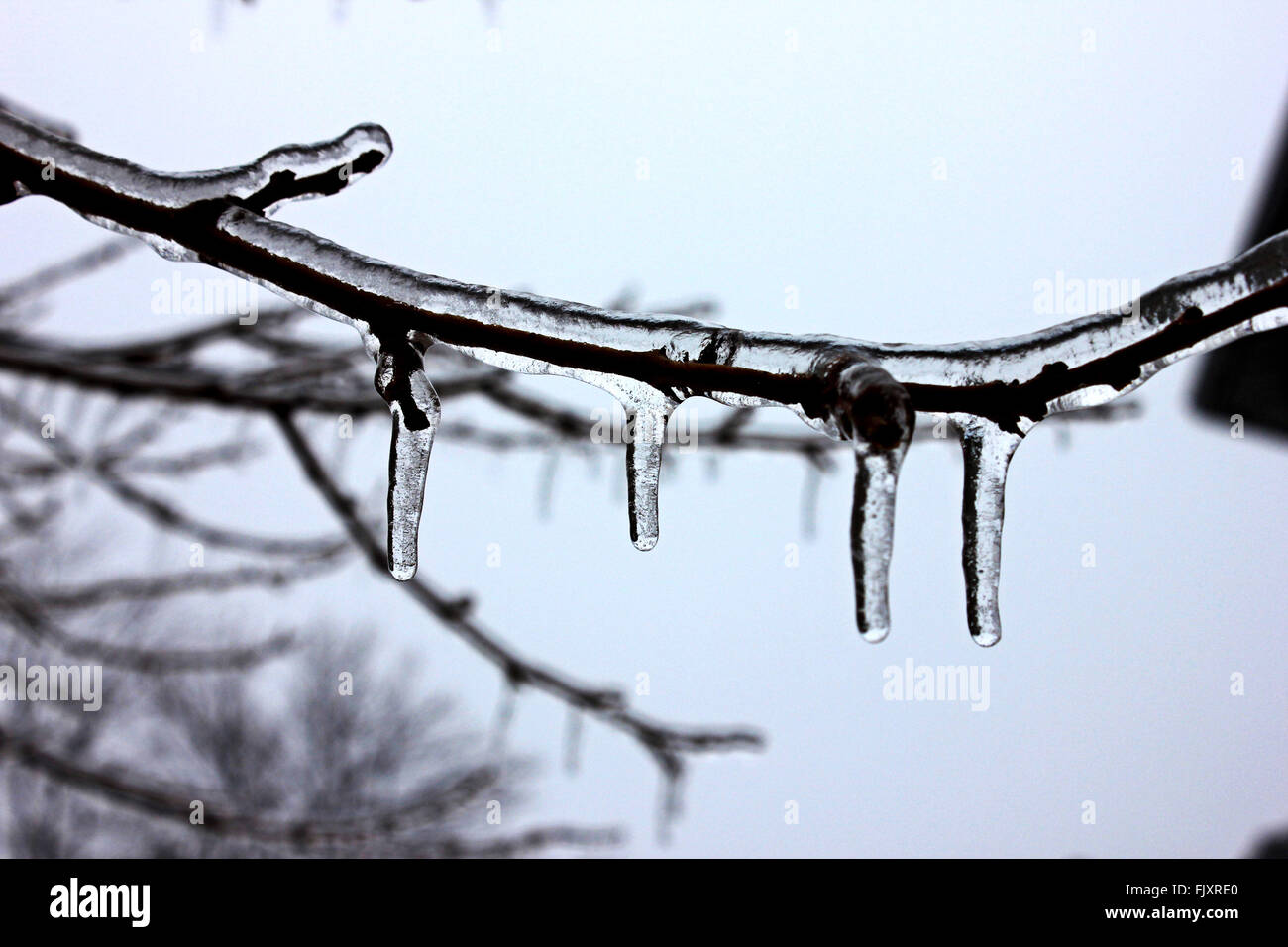 Toronto during the ice storm hi-res stock photography and images - Alamy