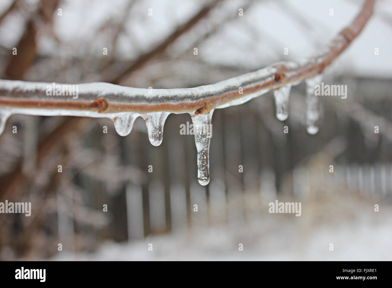 Toronto during the ice storm hi-res stock photography and images - Alamy