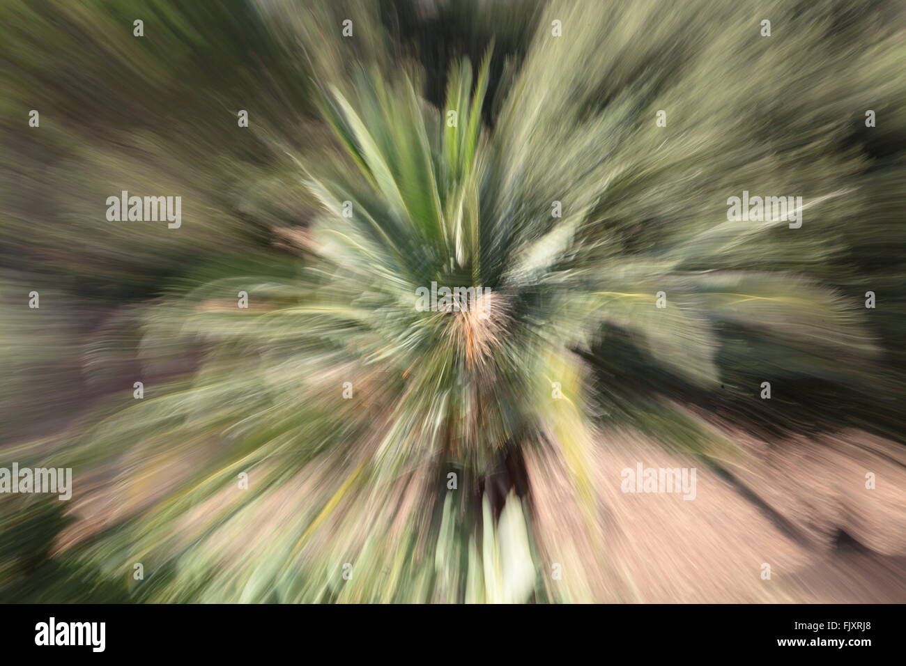 Zoom in hi-res stock photography and images - Alamy