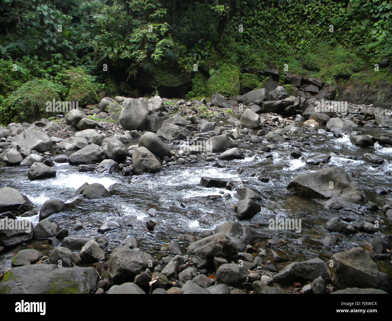 Water flowing in a stream hi-res stock photography and images - Alamy