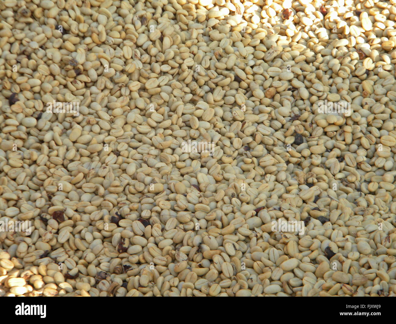 Group of food grains hi-res stock photography and images - Alamy