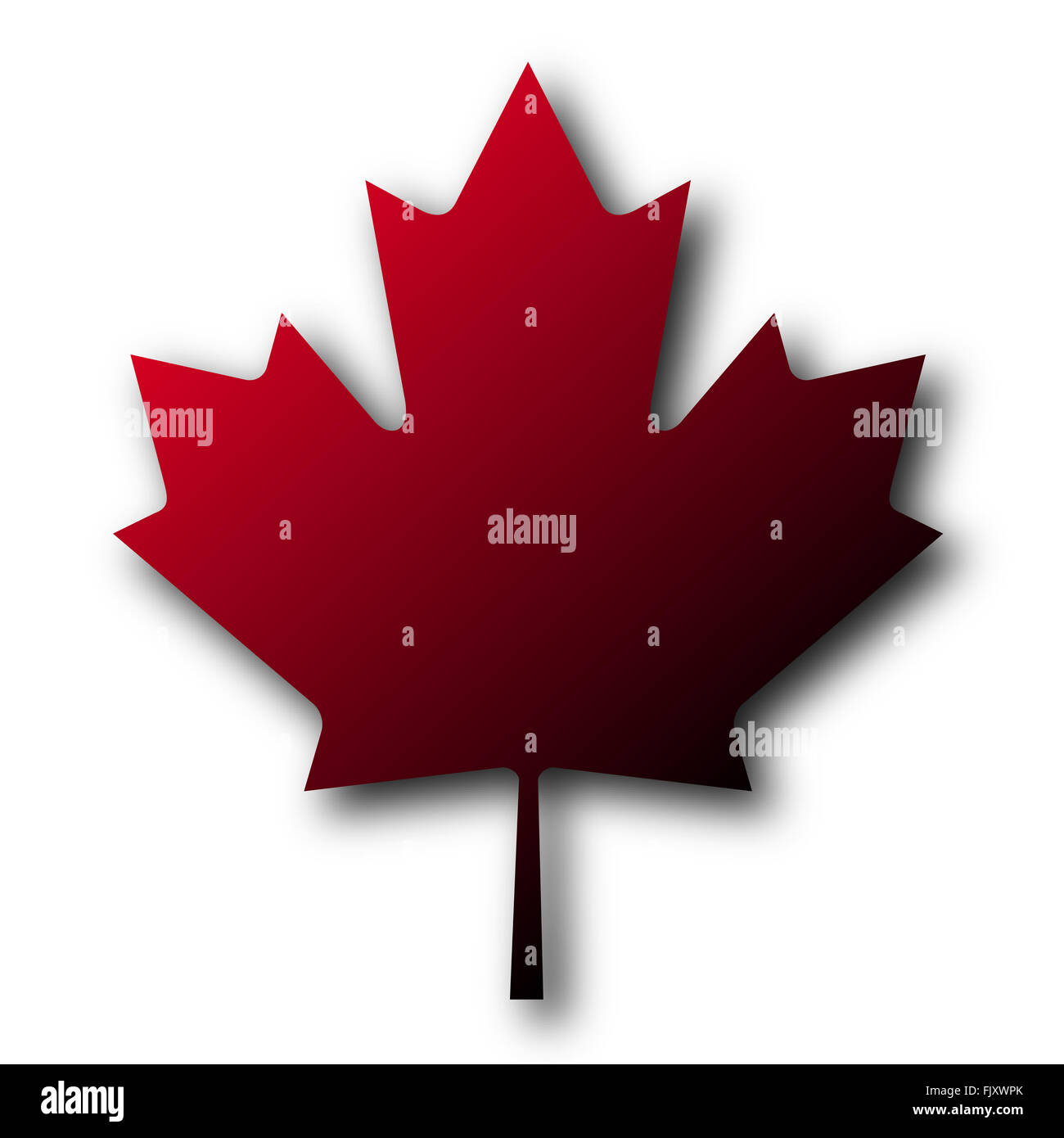 White maple leaf with shadow hi-res stock photography and images - Alamy