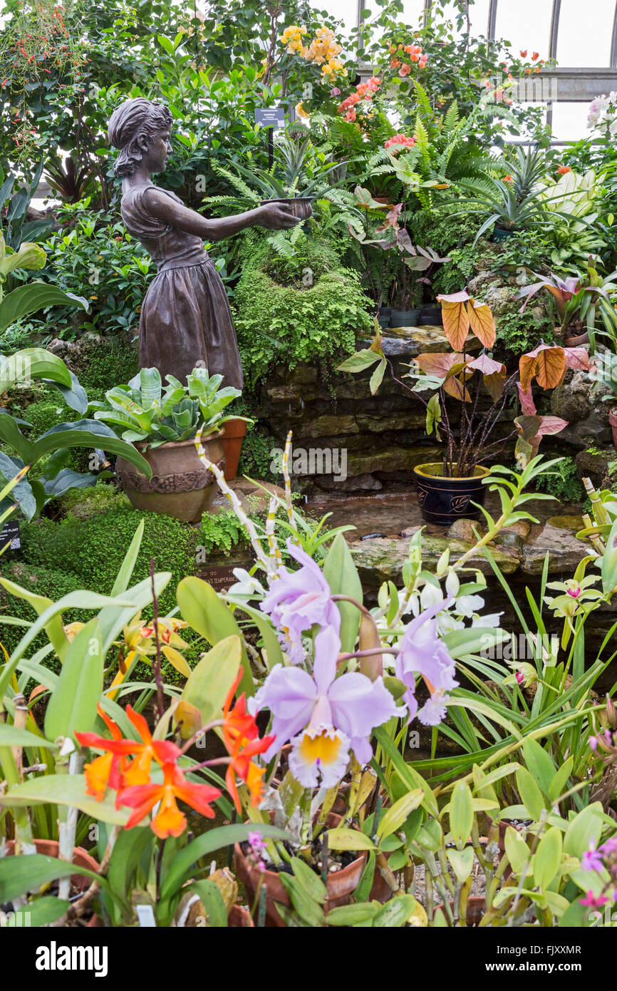 Detroit, Michigan - The tropical house at the Anna Scripps Whitcomb ...