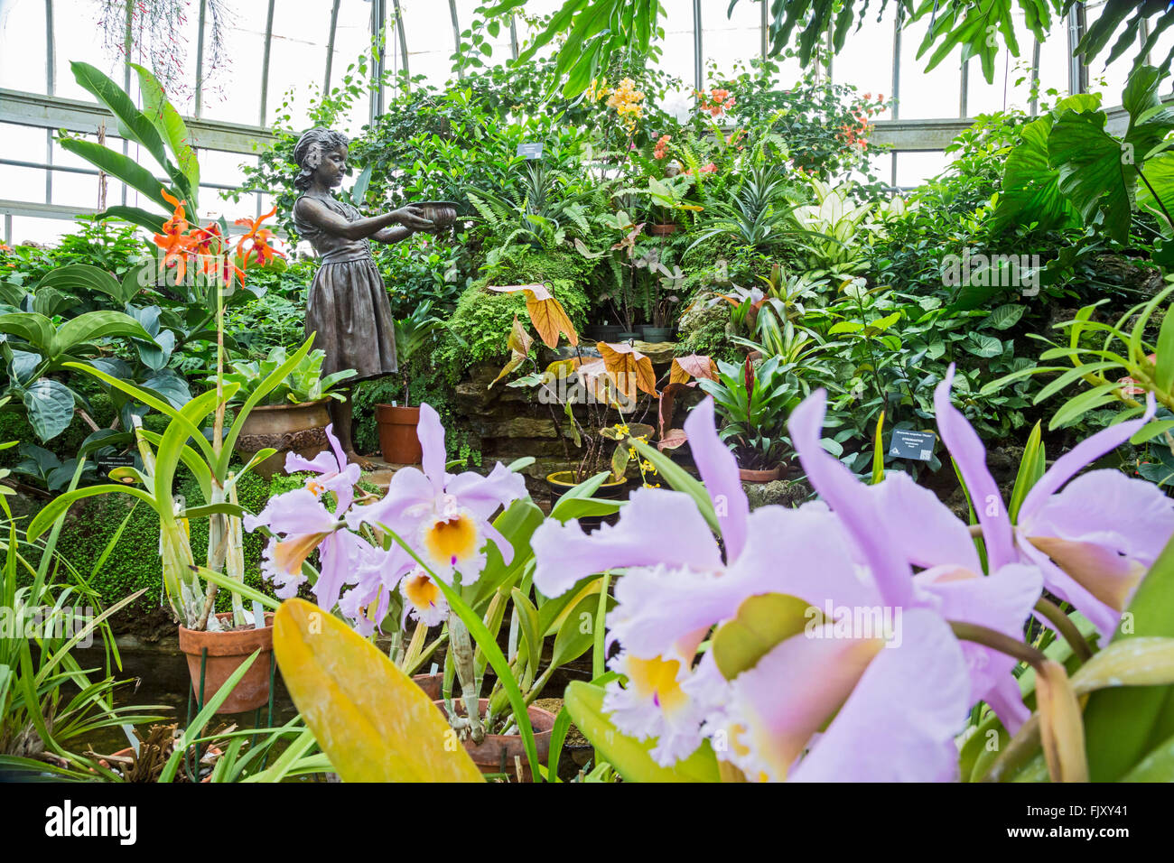 Conservatory detroit tropical garden hi-res stock photography and ...