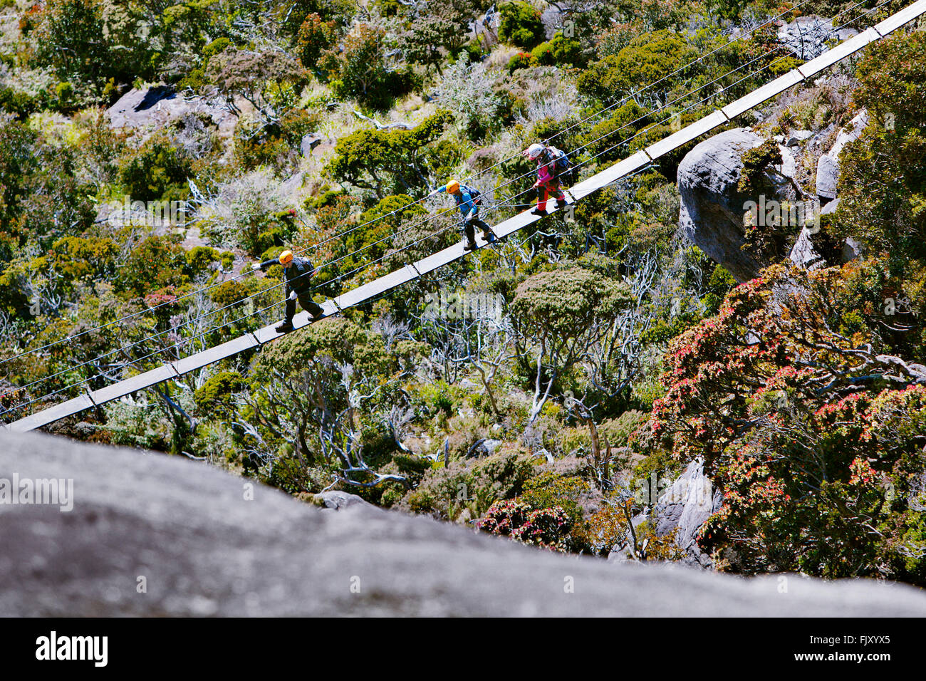 Via ferrata (iron route) on Mount Kinabalu (4095m), the highest ...