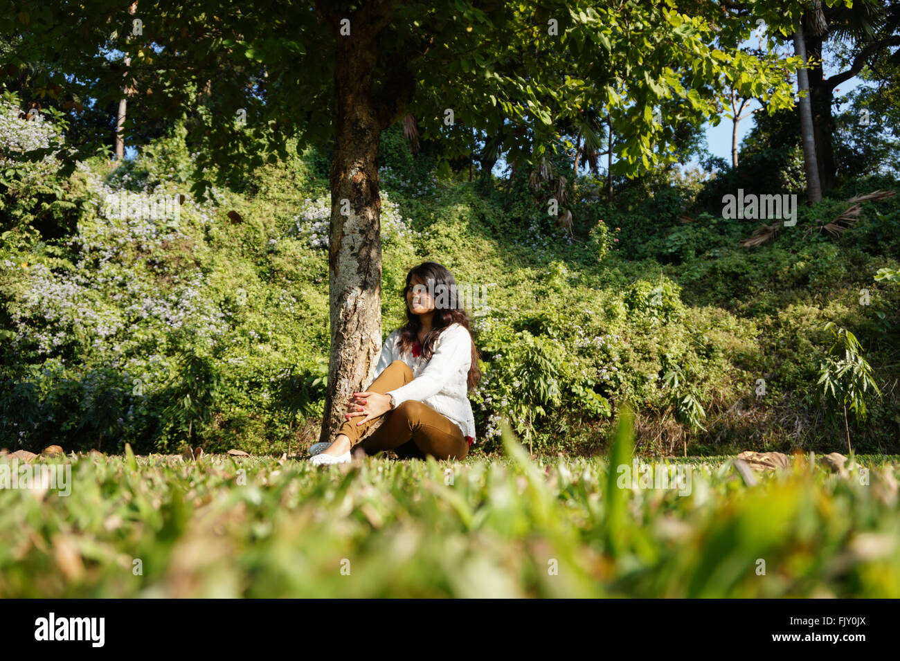Woman Sitting Against Tree Trunk High Resolution Stock Photography and ...