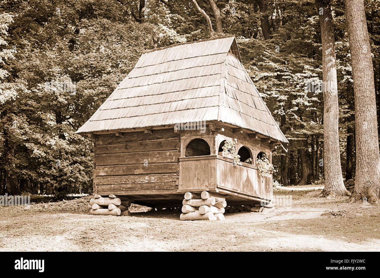 Hut in the trees hi-res stock photography and images - Alamy