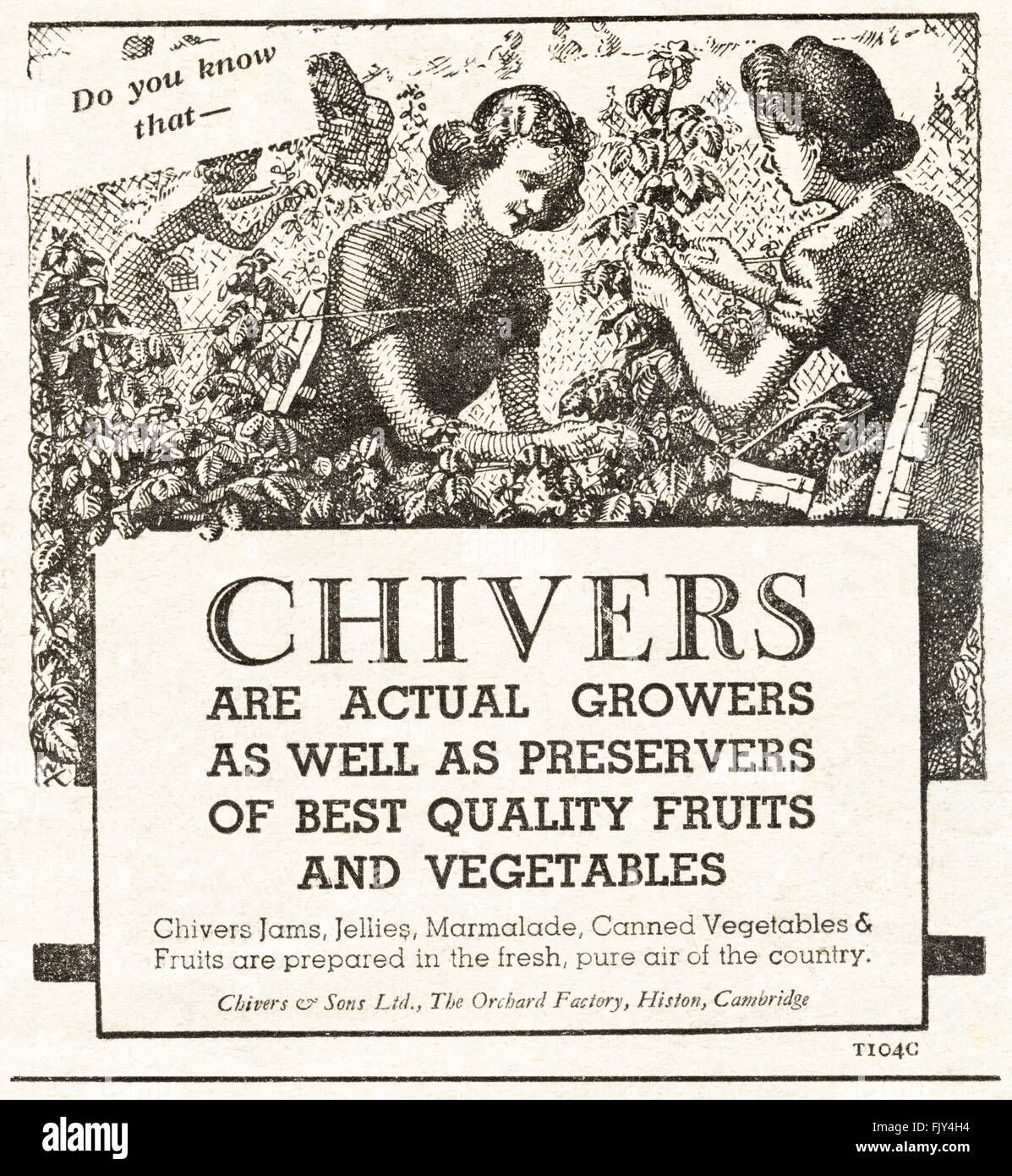 Chivers hi-res stock photography and images - Alamy