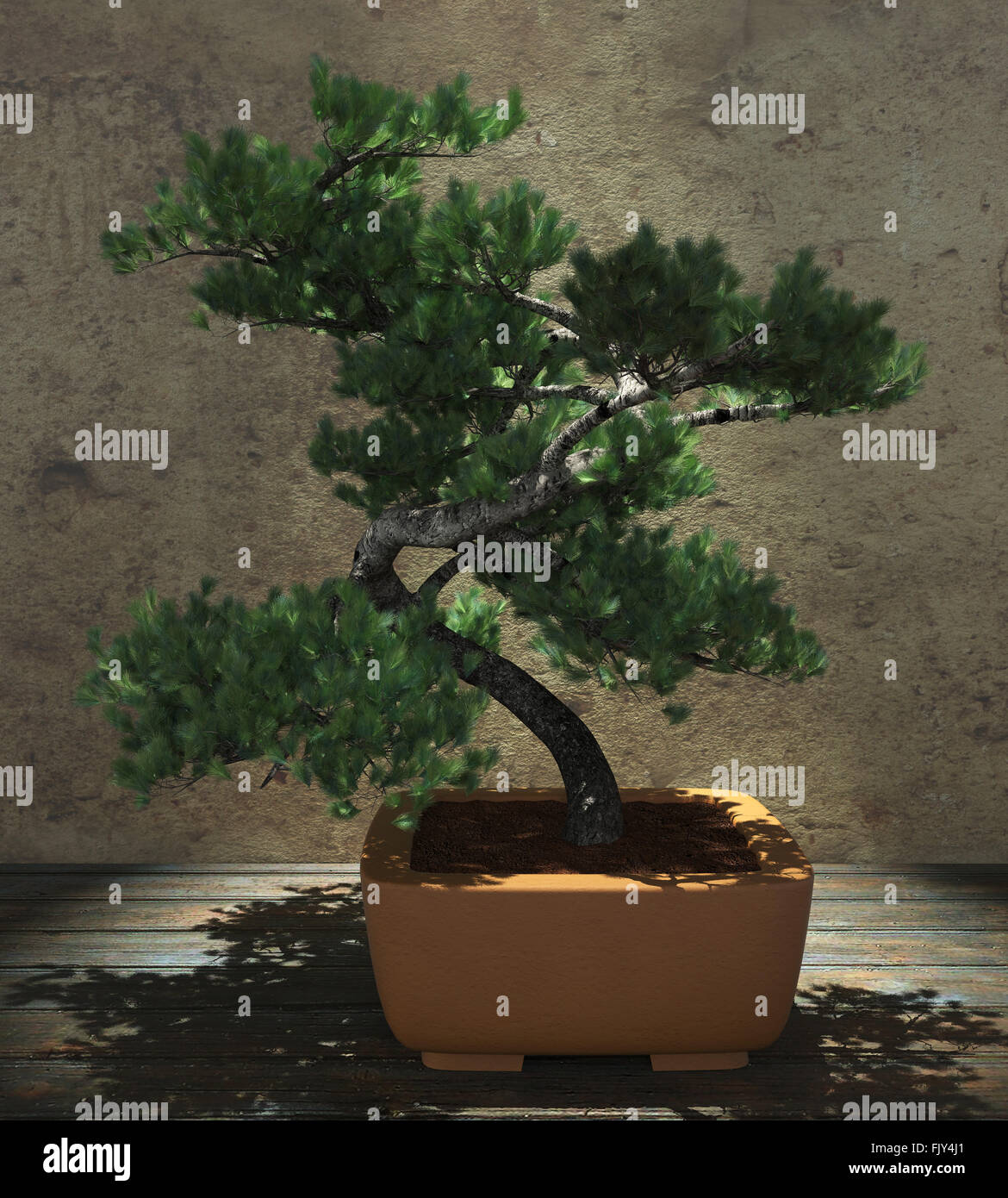 Decorative Bonsai Tree Stock Photo - Alamy