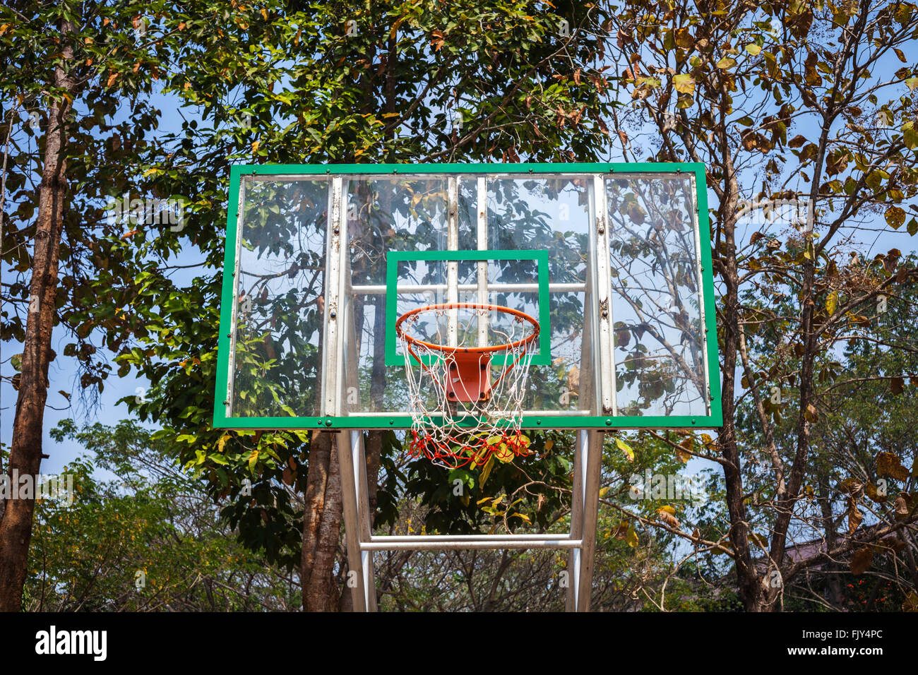 Competition in nature High Resolution Stock Photography and Images - Alamy