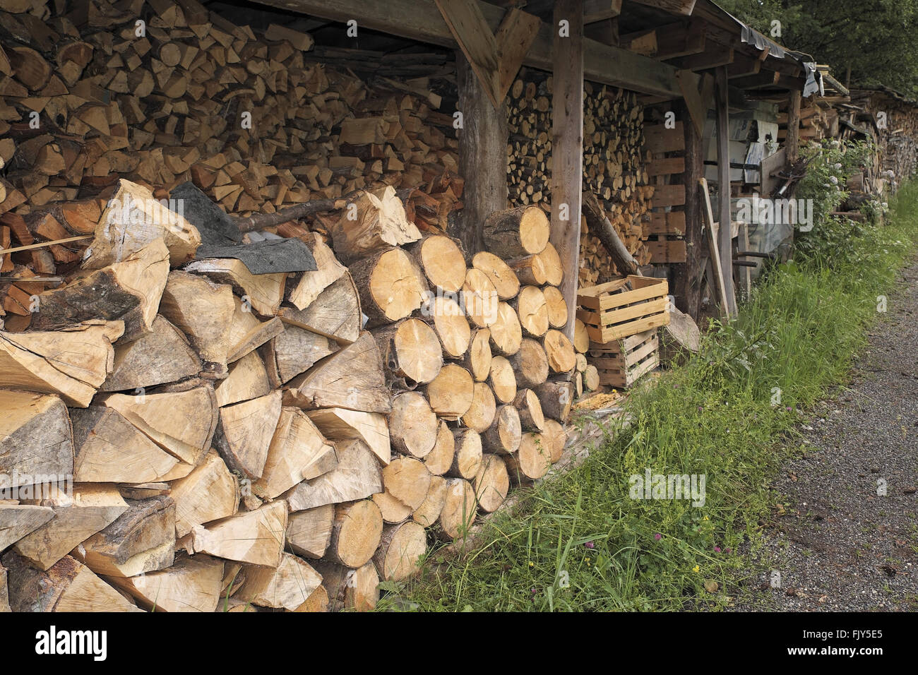 Stacked logs, Ehrwald, Austrian Alps, Austria Stock Photo - Alamy