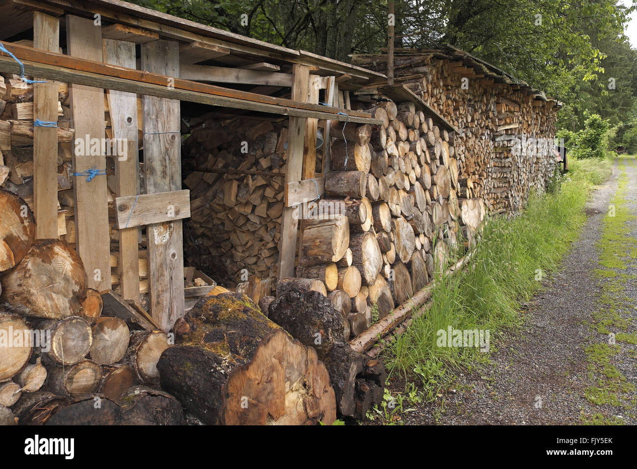 Stacked logs, Ehrwald, Austrian Alps, Austria Stock Photo - Alamy