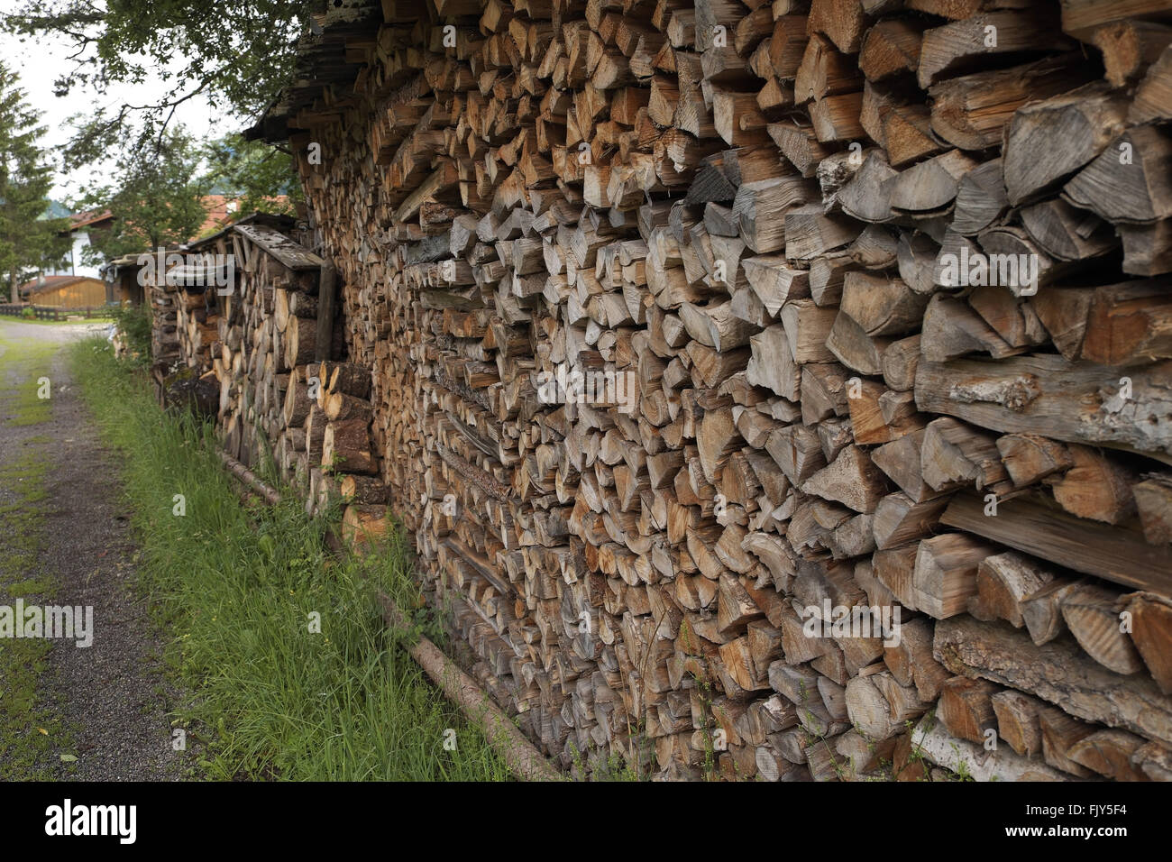 Stacked logs, Ehrwald, Austrian Alps, Austria Stock Photo - Alamy