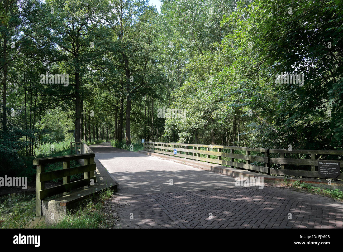 Eindhoven bridge hi-res stock photography and images - Alamy