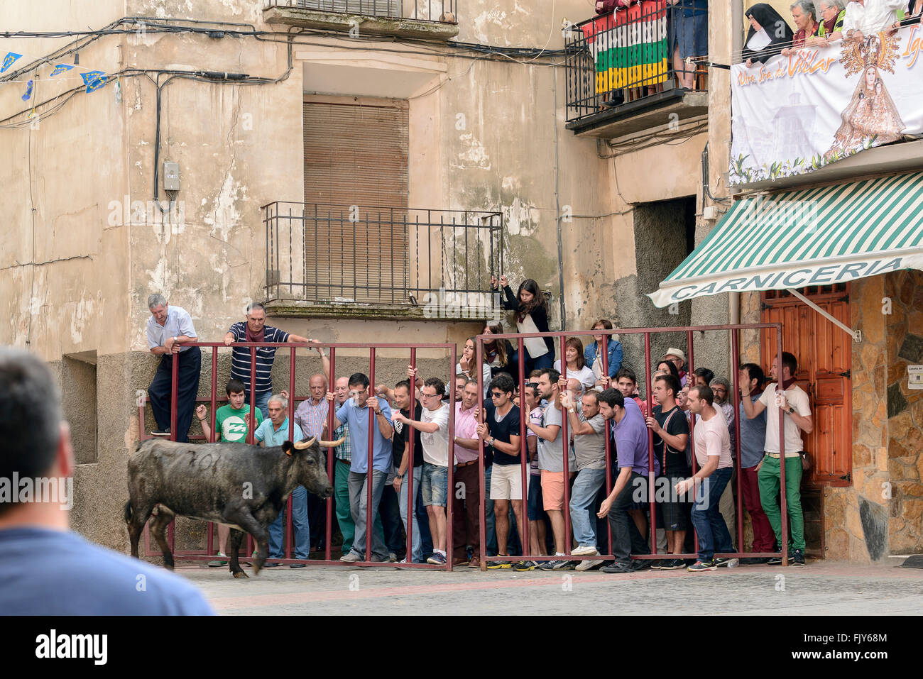 Spanish men and bulls hi-res stock photography and images - Alamy