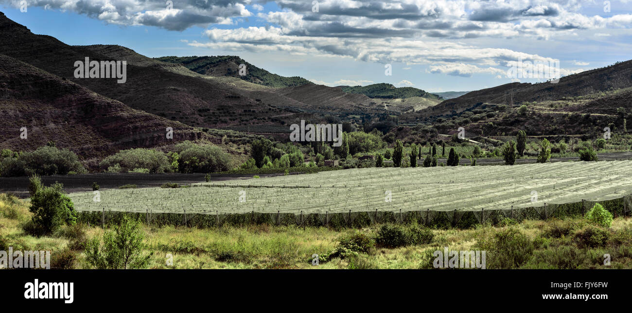 Network plantations hi-res stock photography and images - Alamy