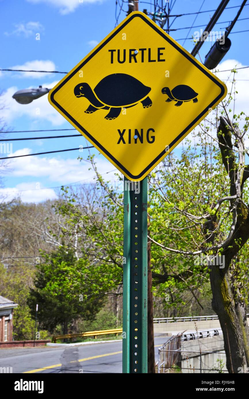 Turtle crossing sign Stock Photo - Alamy
