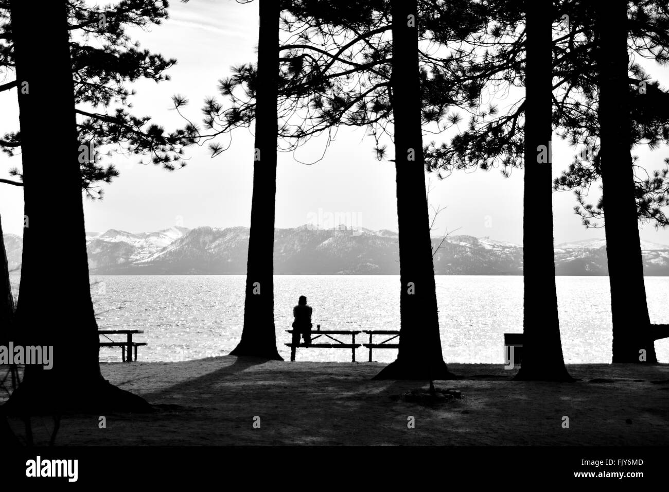 Man watching Lake Tahoe Stock Photo - Alamy