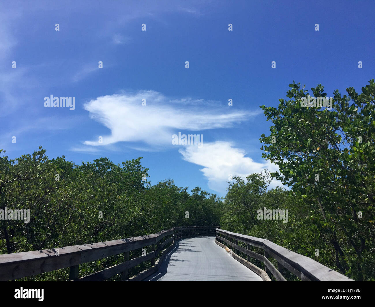 Path pathway walk walkway trail hi-res stock photography and images - Alamy