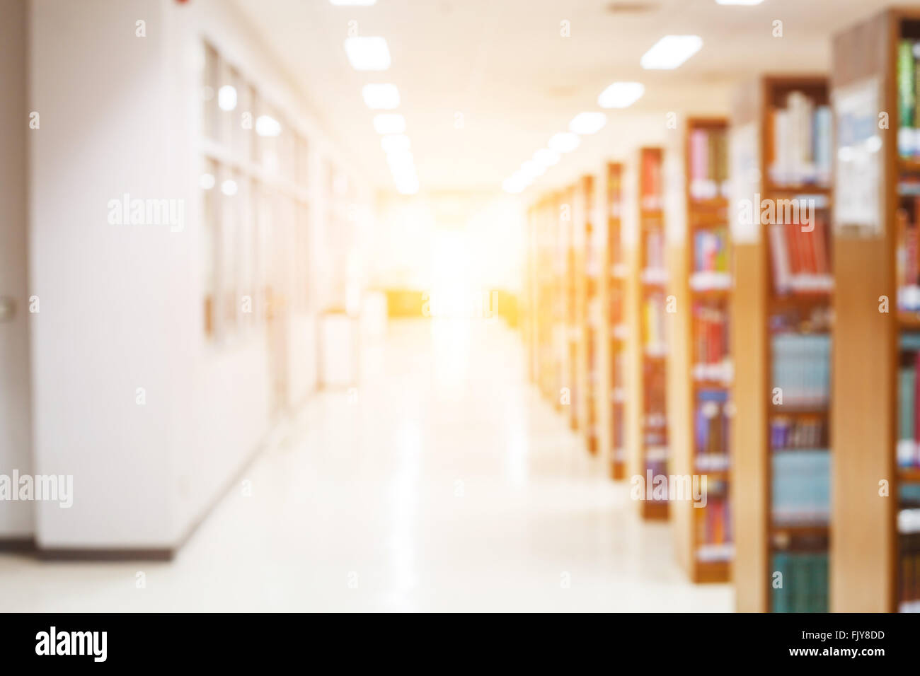 blur image of the library and sun light Stock Photo - Alamy