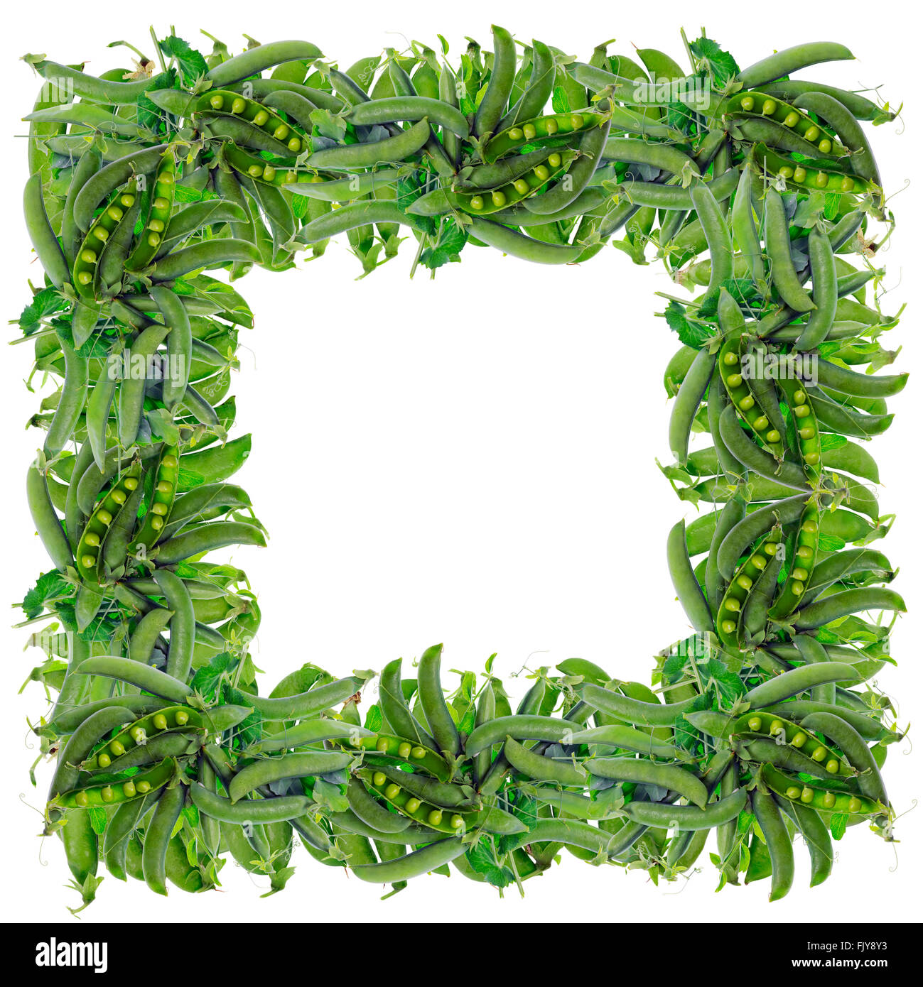 Photo frame from group of pods beans and leaves of sweet green pea ...