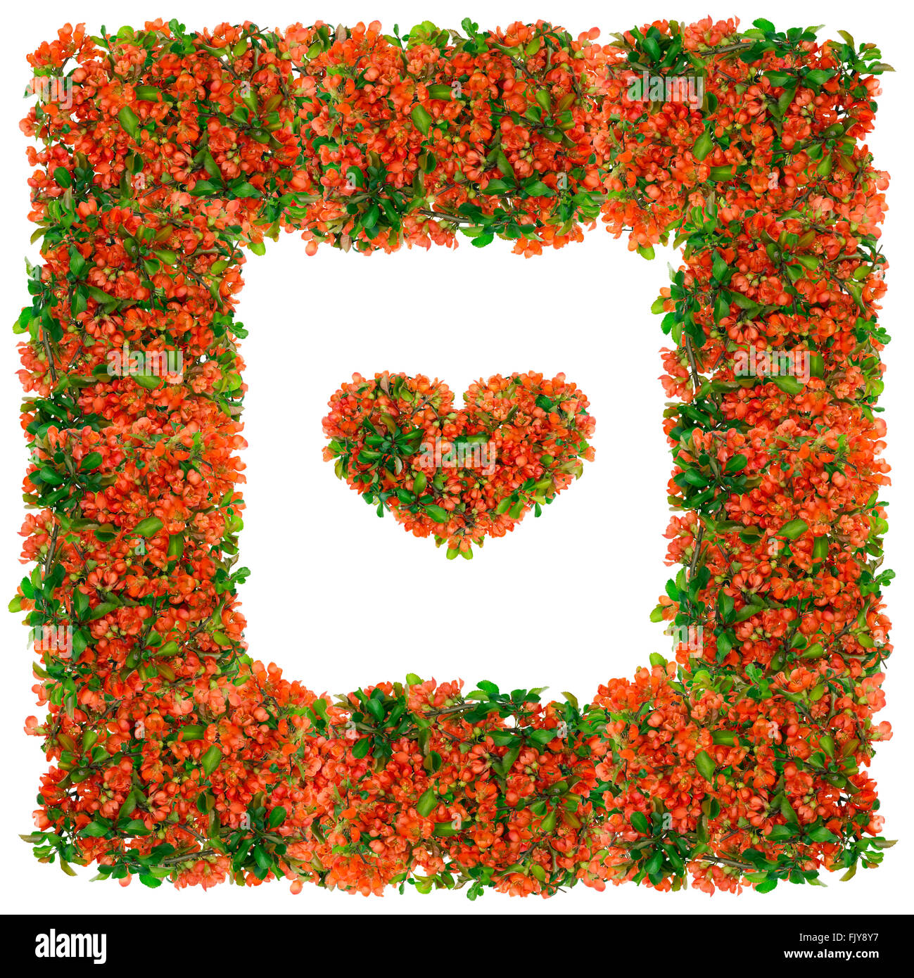 Frame leaves orange blossom hi-res stock photography and images - Alamy